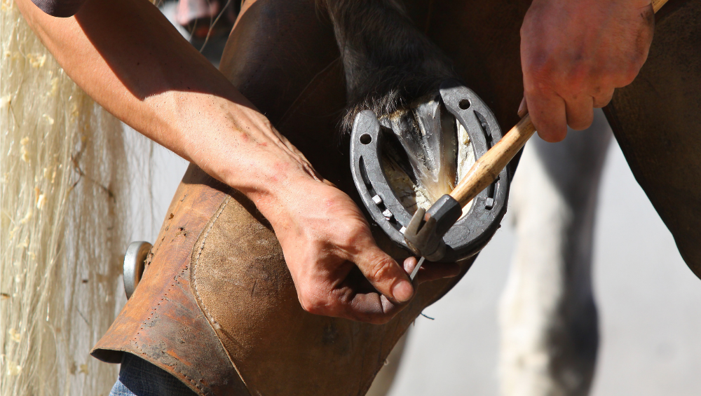 Dealing With Hard Ground This Summer – Equine America