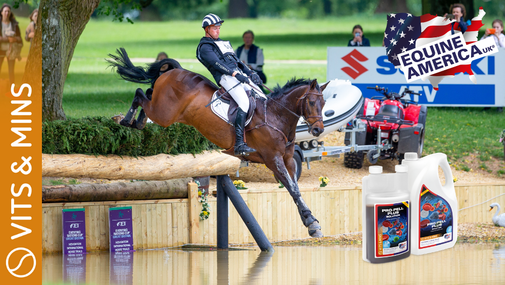 Does Your Horse Need That Extra Boost? – Equine America