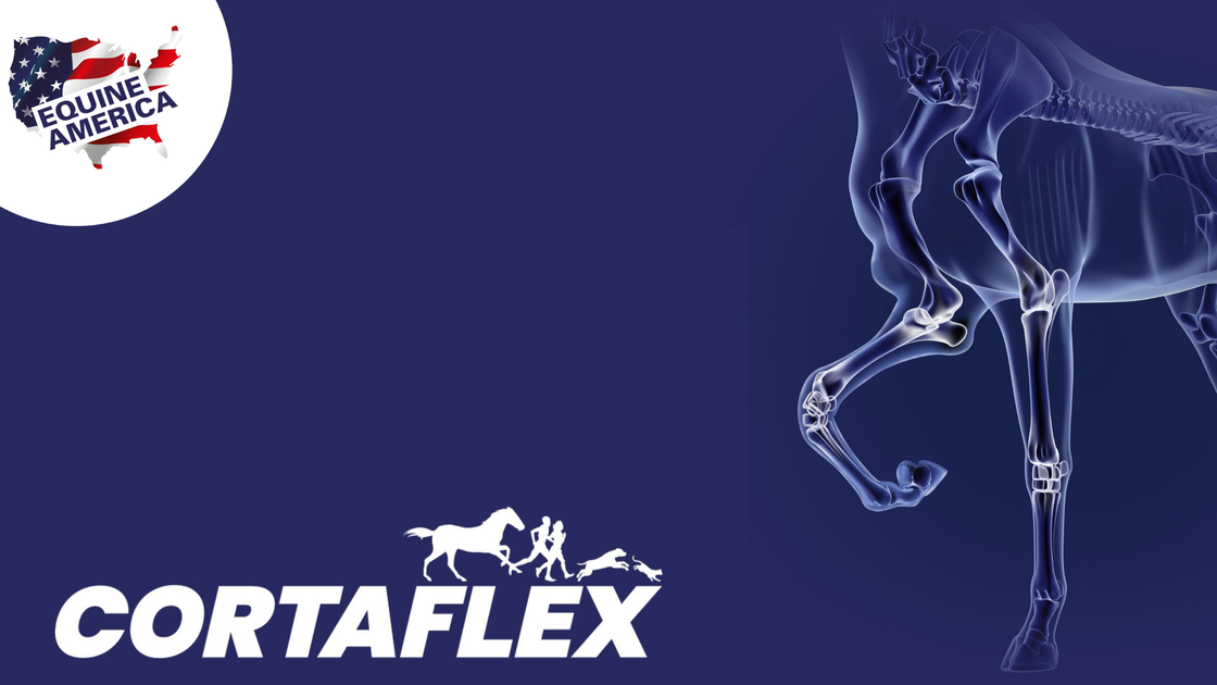 Explaining Cortaflex: a unique approach to joint support – Equine America