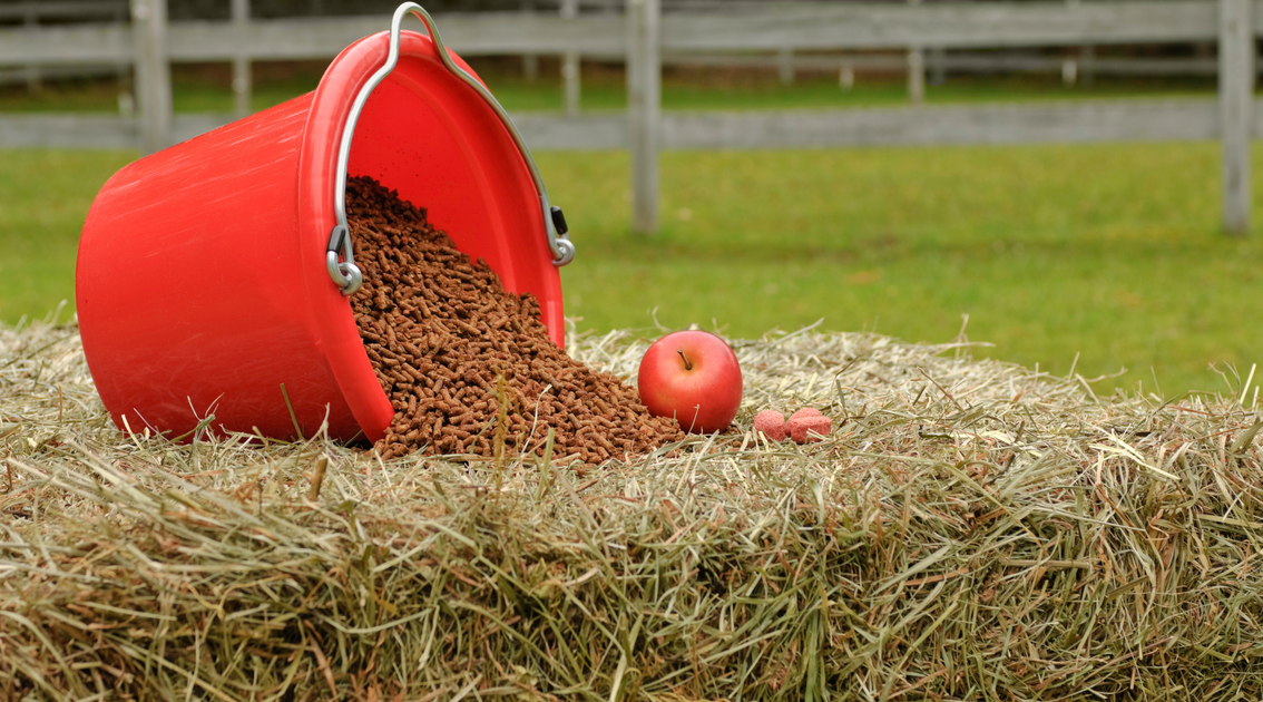 What are NOPS and why should you care?! – Equine America