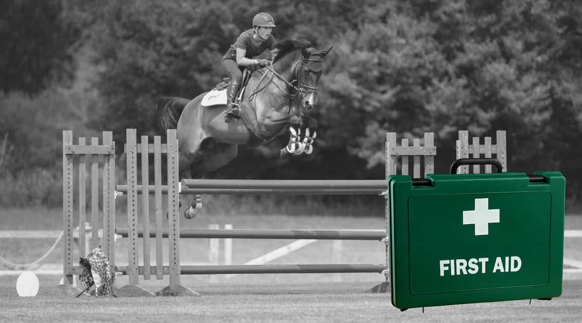 What should be in your first aid kit? – Equine America