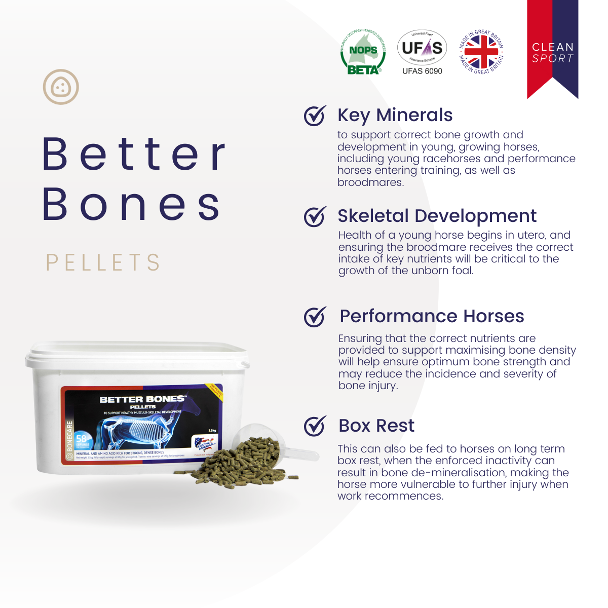 Better Bones - Equine Bone Supplement | Equine America