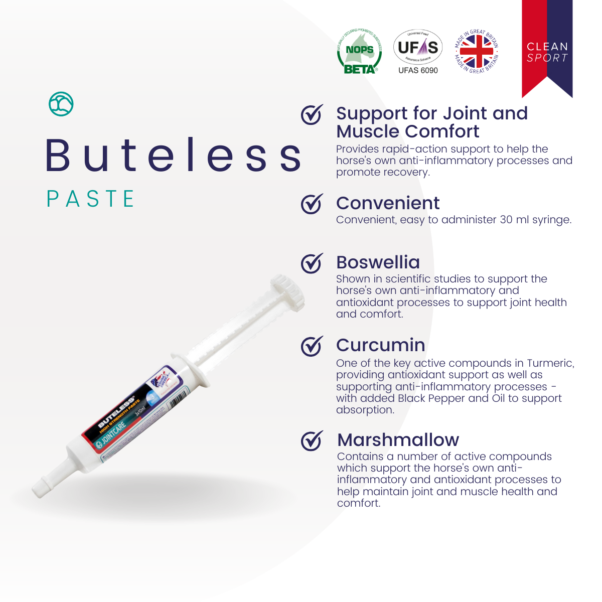 Buteless High Strength Paste – Equine America