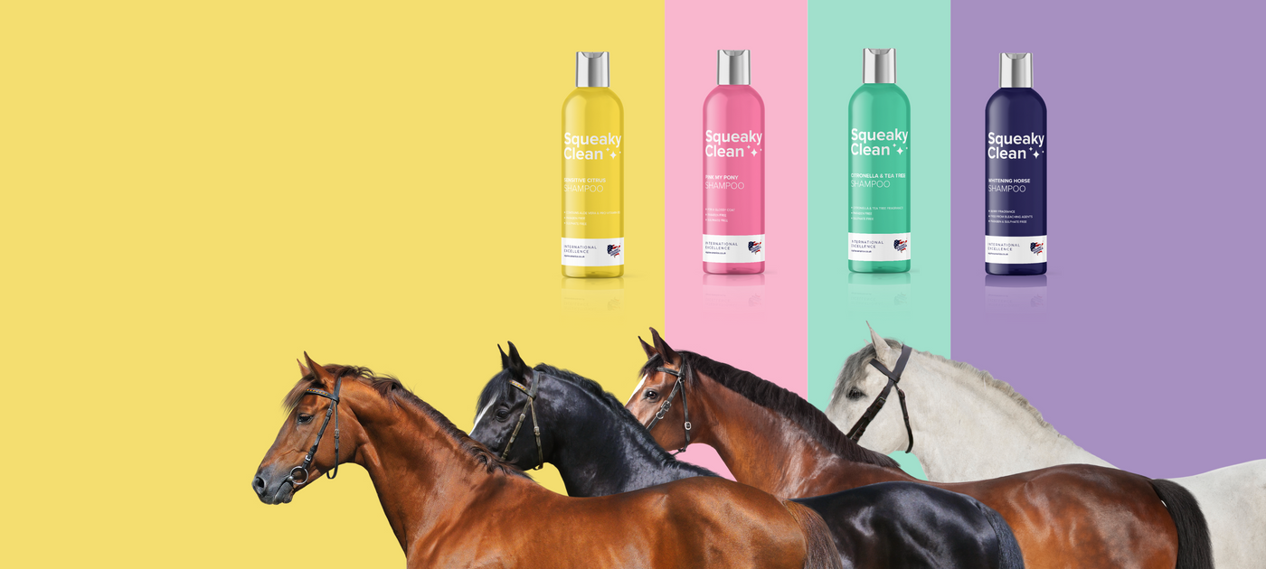 Equine America UK | Equestrian Supplement Experts