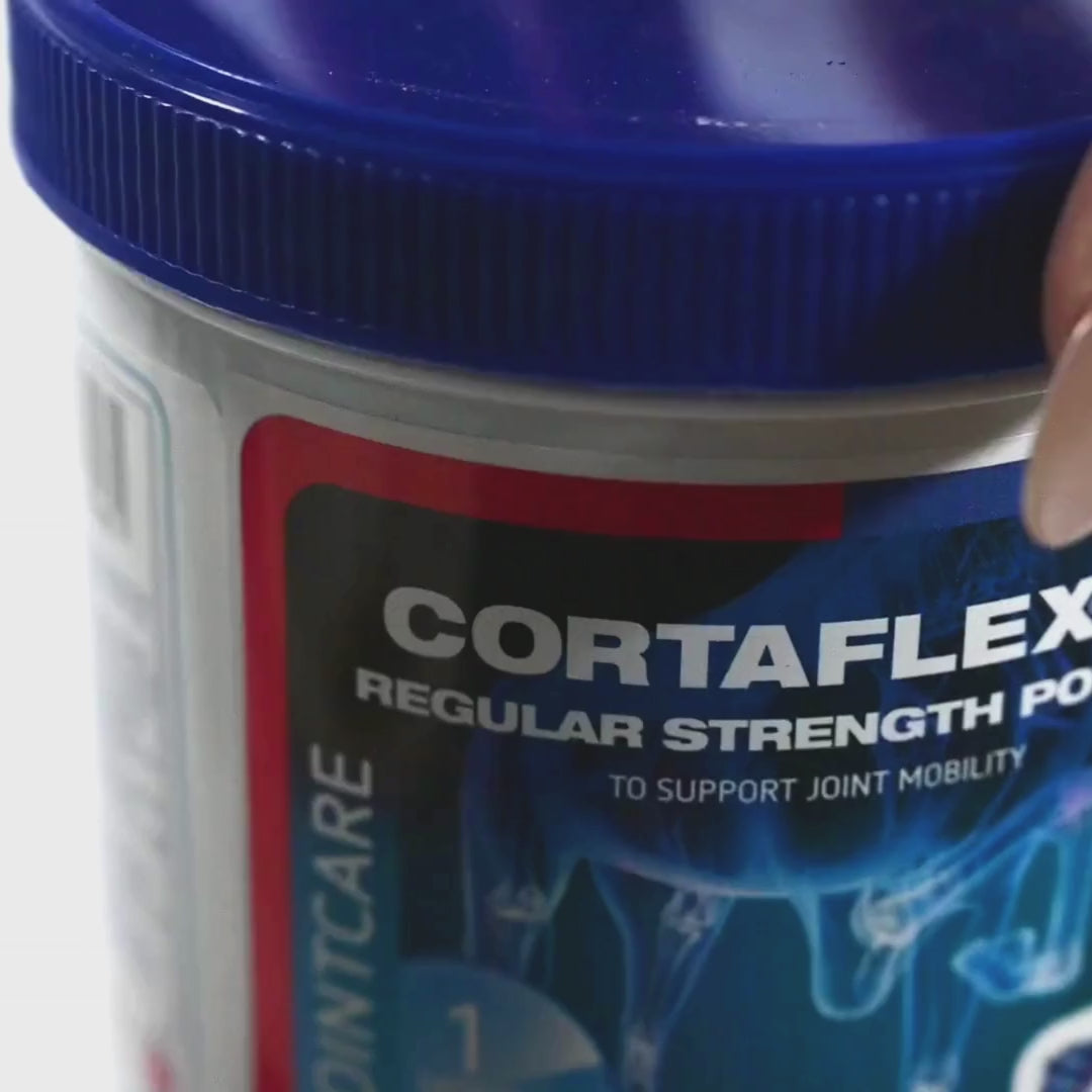 Cortaflex® HA Regular Powder – Equine America