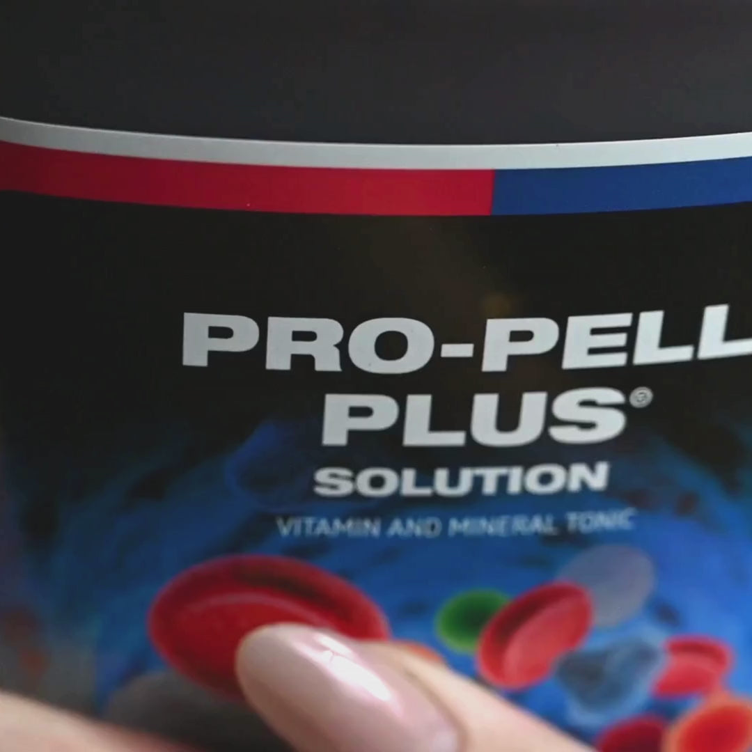 Pro-Pell Plus® – Equine America