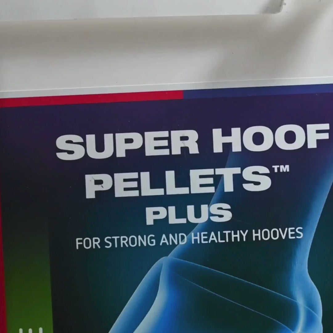 Super Hoof Plus Pellets – Equine America